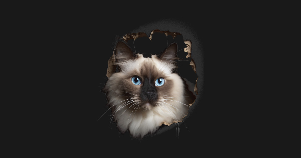 S2 Birman Cat (23) - Birman Cat - T-Shirt | TeePublic