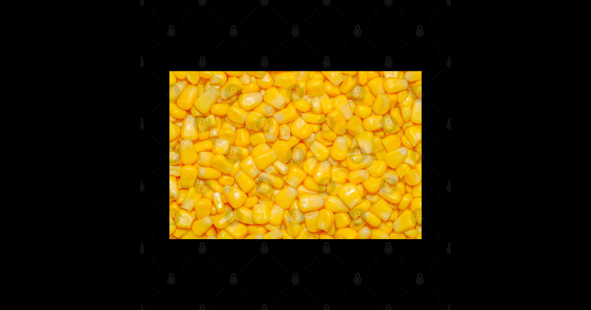 Yellow Corn Kernels Photograph - Corn - Sticker | TeePublic