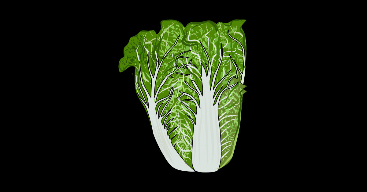 Chinese cabbage cartoon illustration - Chinese Cabbage Cartoon ...