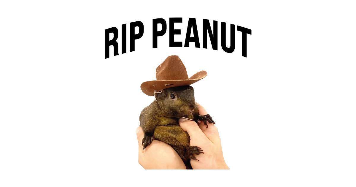 rip peanut cute squirrel - Rip Peanut Cute Squirrel - T-Shirt | TeePublic