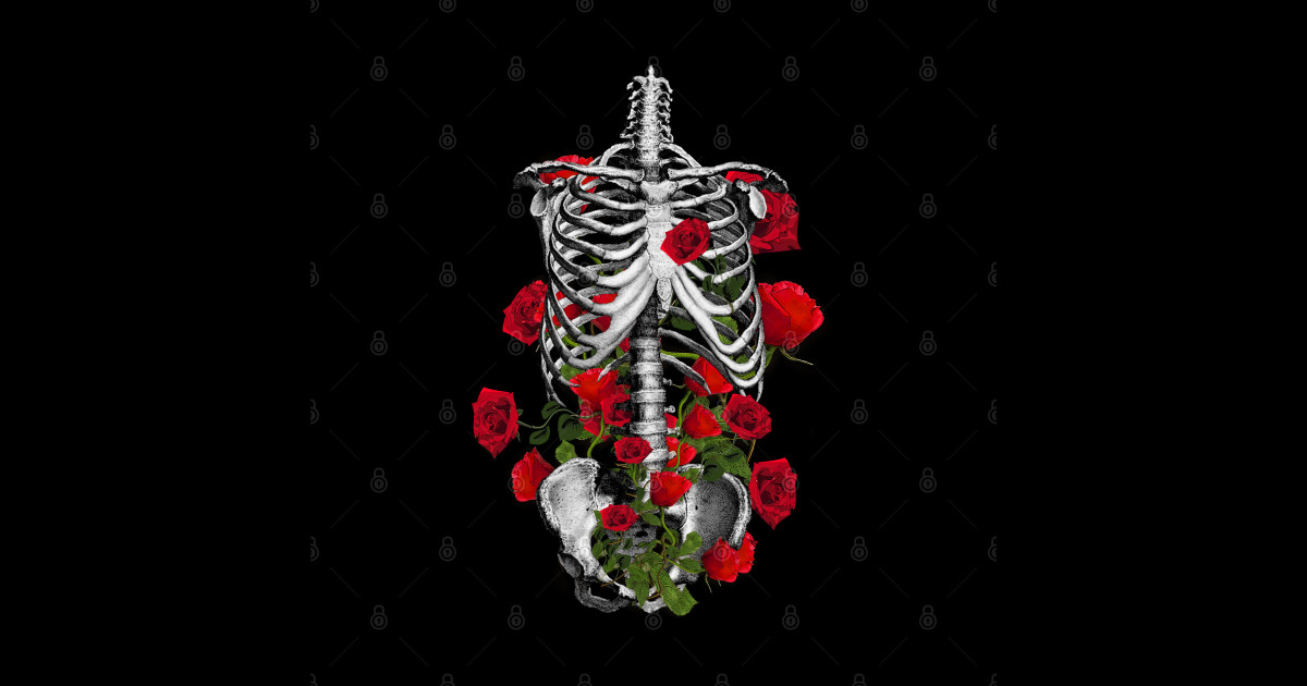 human anatomy rib cage - Human Anatomy Rib Cage - Sticker | TeePublic