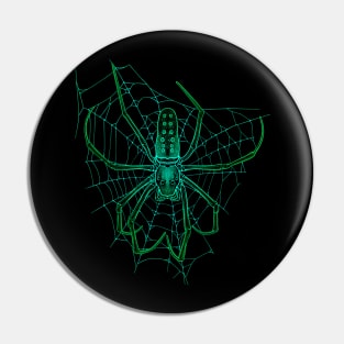 Spider Webs Spiders Web Spiders Spider Pins and Buttons for Sale ...