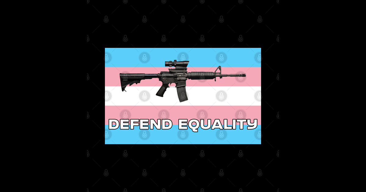 Defend Equality (Trans Flag)| First Amendment| Cool and Cute Stickers ...