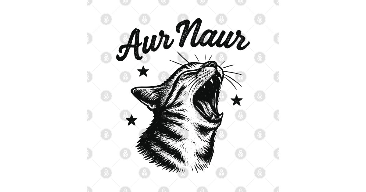 Aur Naur Cat Funny Australian Accent Meme Sarcastic Oh No - Aur Naur ...