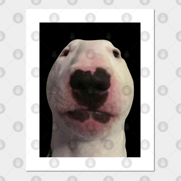 Staring Forward Dog Meme - Meme - Posters and Art Prints | TeePublic
