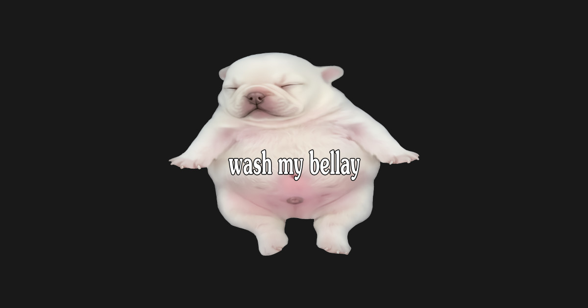Pibble Meme Wash My Belly Funny - Pitbull Meme - T-Shirt | TeePublic
