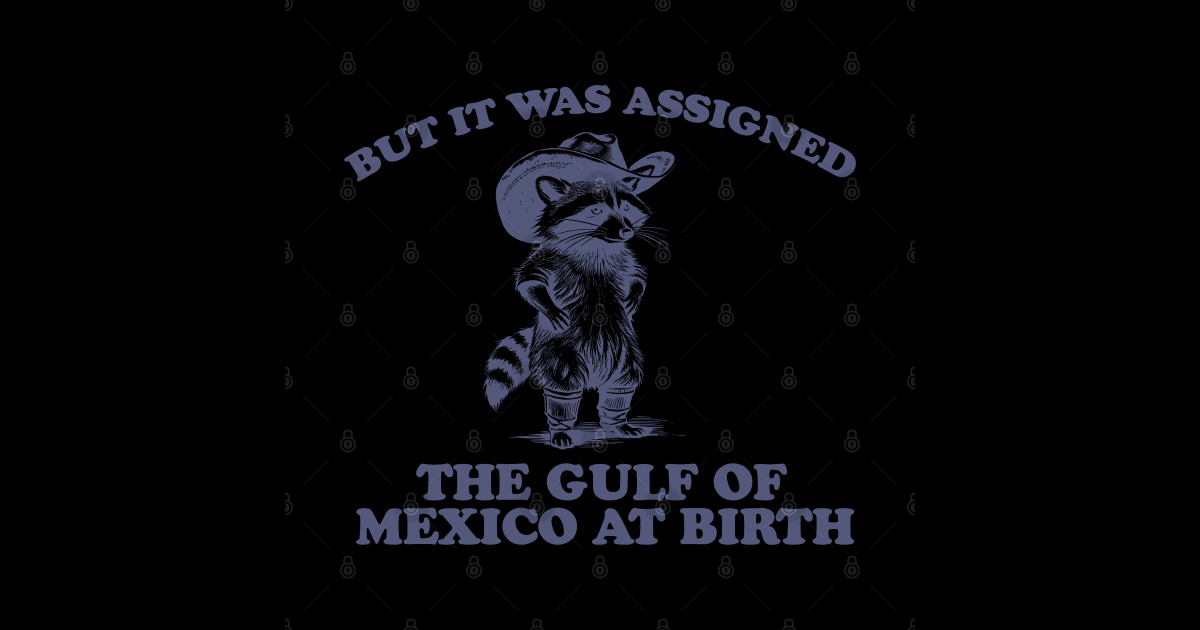 Gulf of Mexico at birth, against fascism, coexist, funny raccoon shirt ...