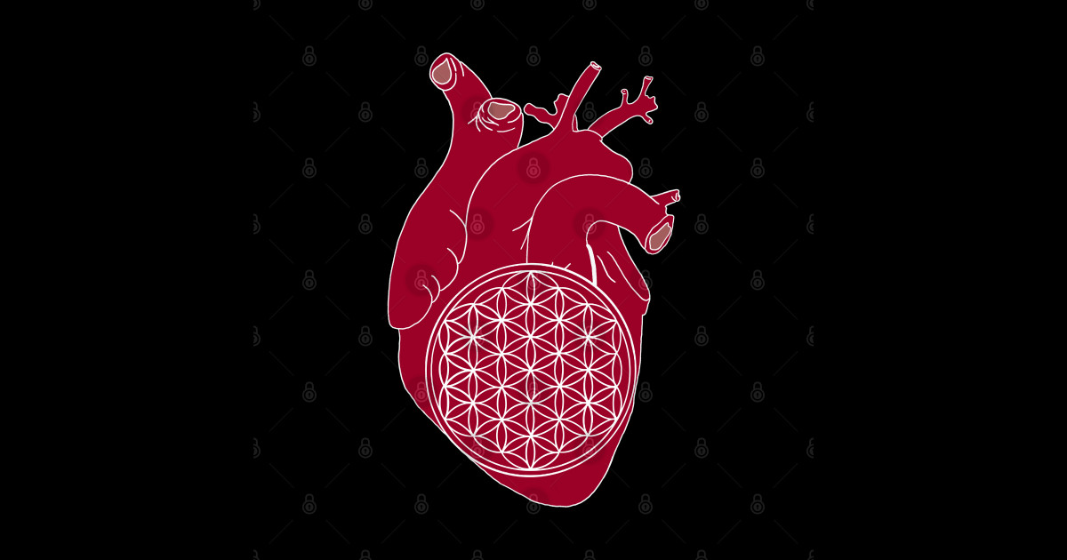 Heart with flower of life - Anatomy Art - Sticker | TeePublic