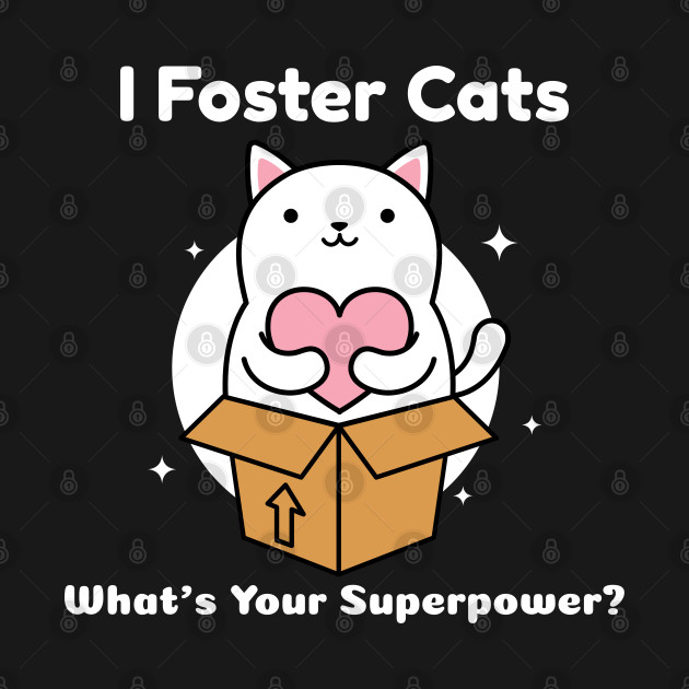 Foster Cats, Cat Lover, Feline Fostering, Fostering Kittens - Foster ...