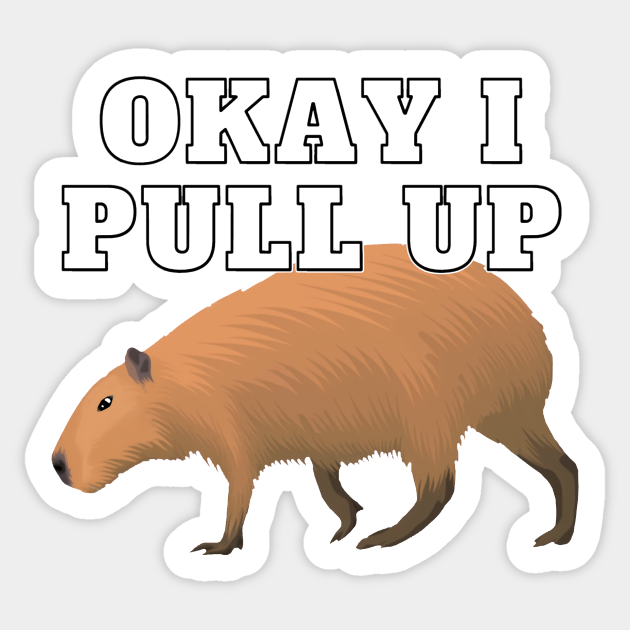Ok I Pull Up Capybara - Capybara - Sticker | TeePublic