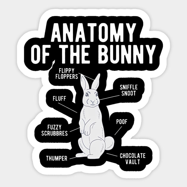 Anatomy Bunny Rabbit - Anatomy Bunny Rabbit Design - Sticker | TeePublic