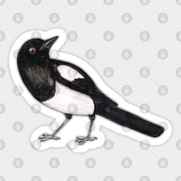 Magpie ink drawing - Magpie - Sticker | TeePublic