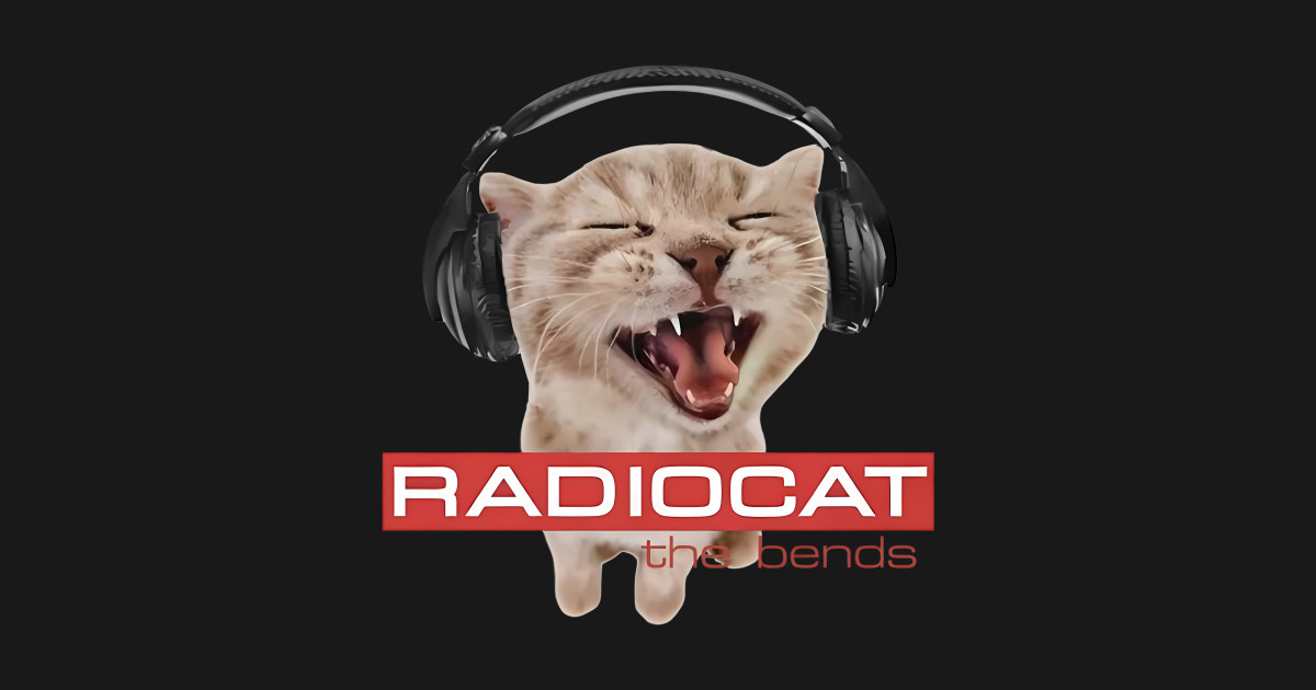 RadioCat the bends, DJ Cat with Headphones, Music Loving Feline, Cool ...