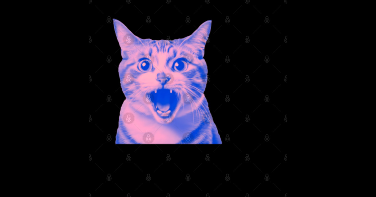 Funny Cat Meme Scared - Scared Cat - Magnet | TeePublic