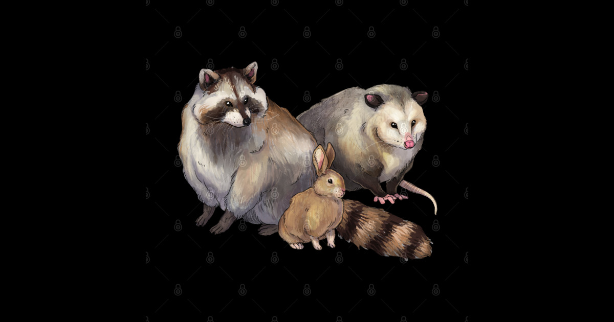 Critters (Raccoon, Rabbit, and Opossum Friends) - Wildlife - Magnet ...