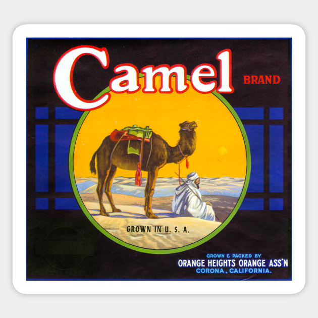 Camel Brand crate label, circa 1930s - Vintage Crate Label - Sticker ...