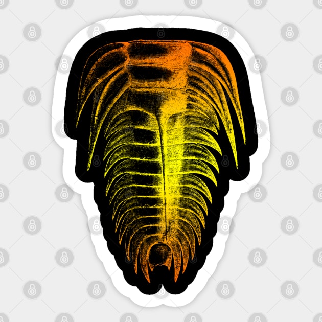 Trilobite Orange Yellow Color Splash Design - Trilobite - Sticker ...