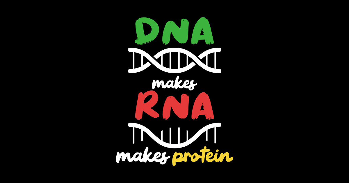 DNA Makes RNA Makes Protein - Biology - Sticker | TeePublic