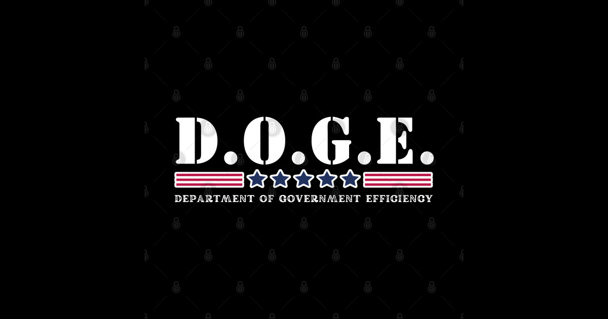 DOGE Department of Government Efficiency - Department Of Government ...
