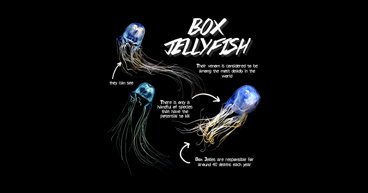 Box Jellyfish Fun Facts - Jellyfish - Posters and Art Prints | TeePublic