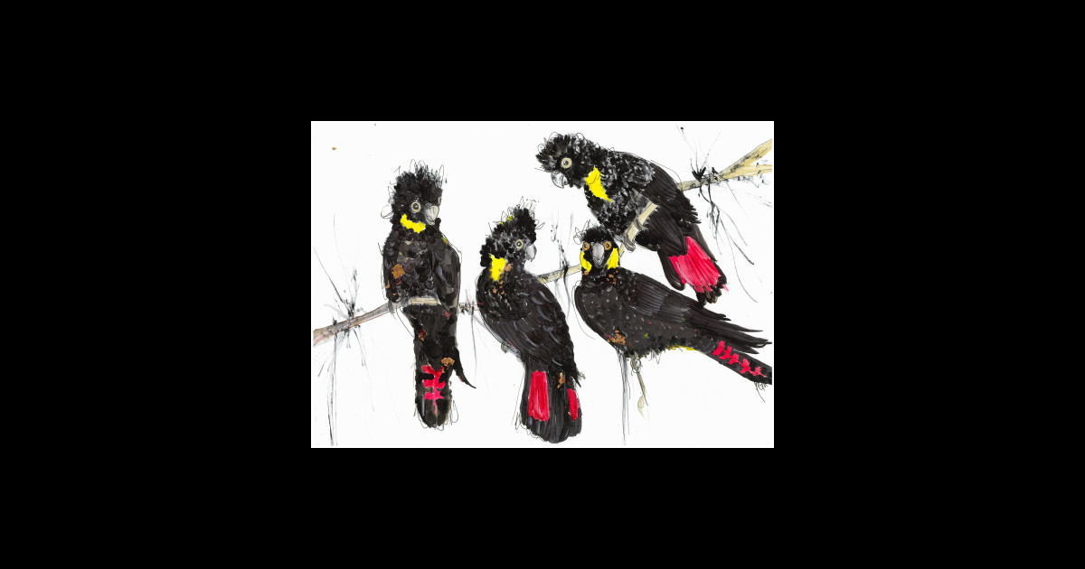 Bushfire black cockatoos - Peta Wakeham - Sticker | TeePublic