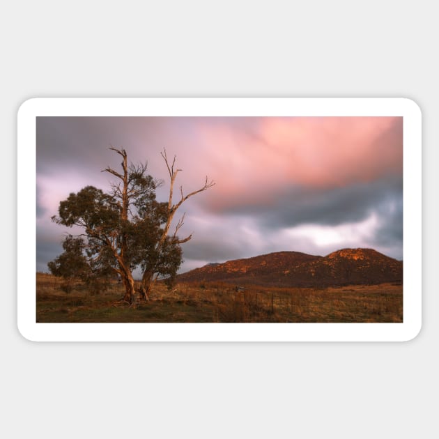 Australian Dawn - Australia - Sticker | TeePublic