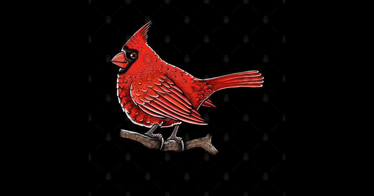Cute red cardinal bird - Red Cardinal Red Cardinal Lover Bird - Sticker ...