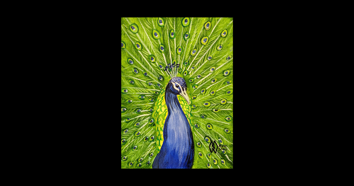 A peacock fanning out his feathers - Peacock - Sticker | TeePublic