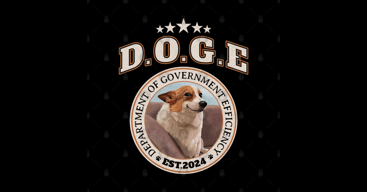 DOGE Department Of Government Efficiency - Doge Department Of ...