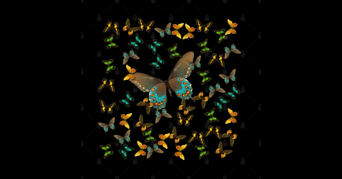 Beautiful Butterflies Lepidopterology Butterfly Meme - Beautiful ...
