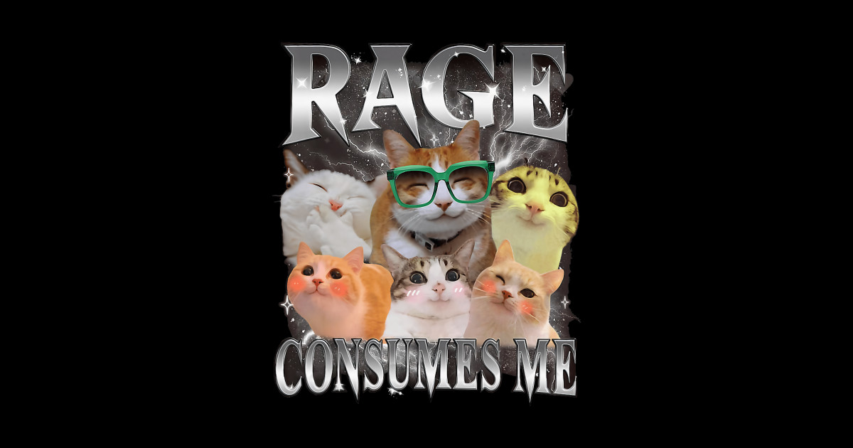 Rage Is Consuming Me Silly Staring Cat - Rage Consumes Me - Sticker ...