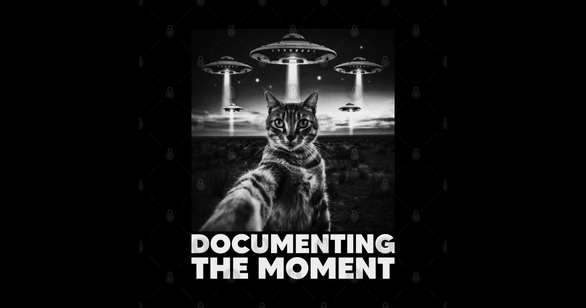 Selfie of Cat And Aliens UFO, Documenting The Moment, Funny Cat - Funny ...