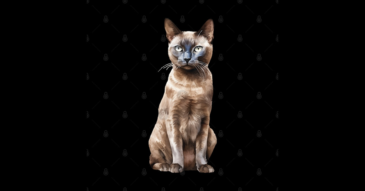 Burmese Cat - Catshirt - Posters and Art Prints | TeePublic