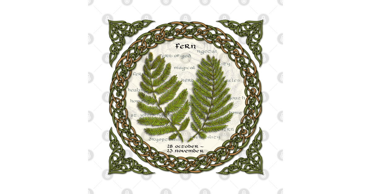Celtic Tree Calendar Ferns - Fern - T-Shirt | TeePublic
