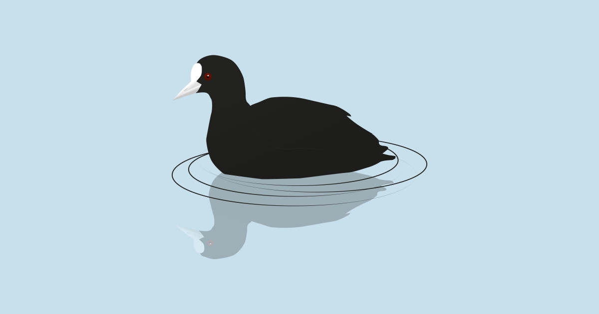 Common coot vector - Coot - T-Shirt | TeePublic
