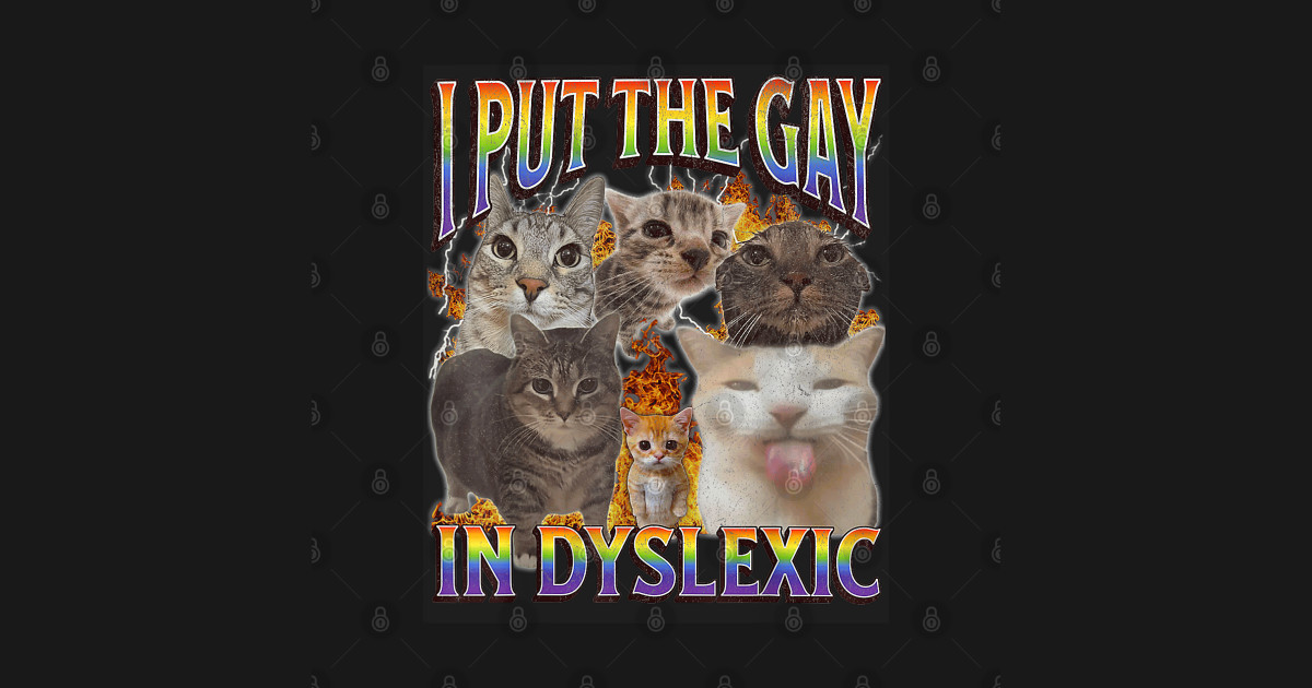 I Put The Gay In Dyslexic LGBT Cat Meme Bootleg Graphic - I Put The Gay ...