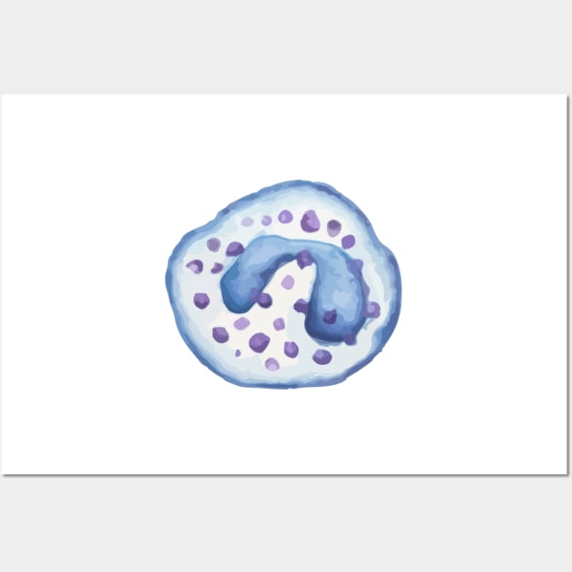 Basophil WBC white blood cell - Basophil - Posters and Art Prints ...