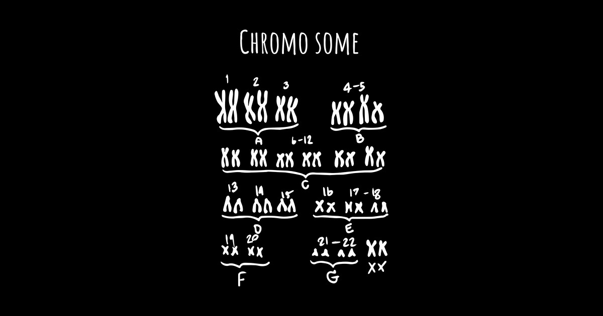 Chromosome Note - Chromosome - Sticker | TeePublic