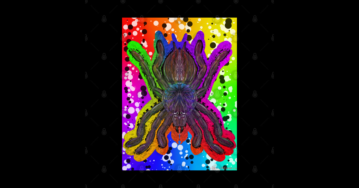 Rainbow Tarantula (Background) - Tarantula - Sticker | TeePublic