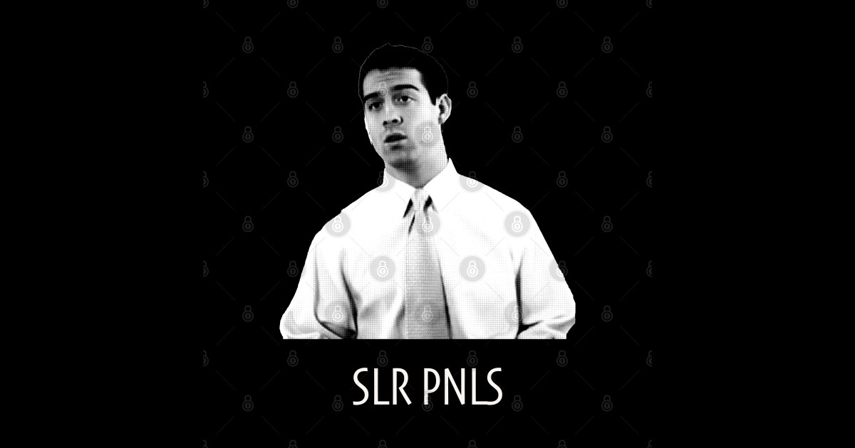 SLR PNLS (Solar Panels) - Birdemic - Sticker | TeePublic