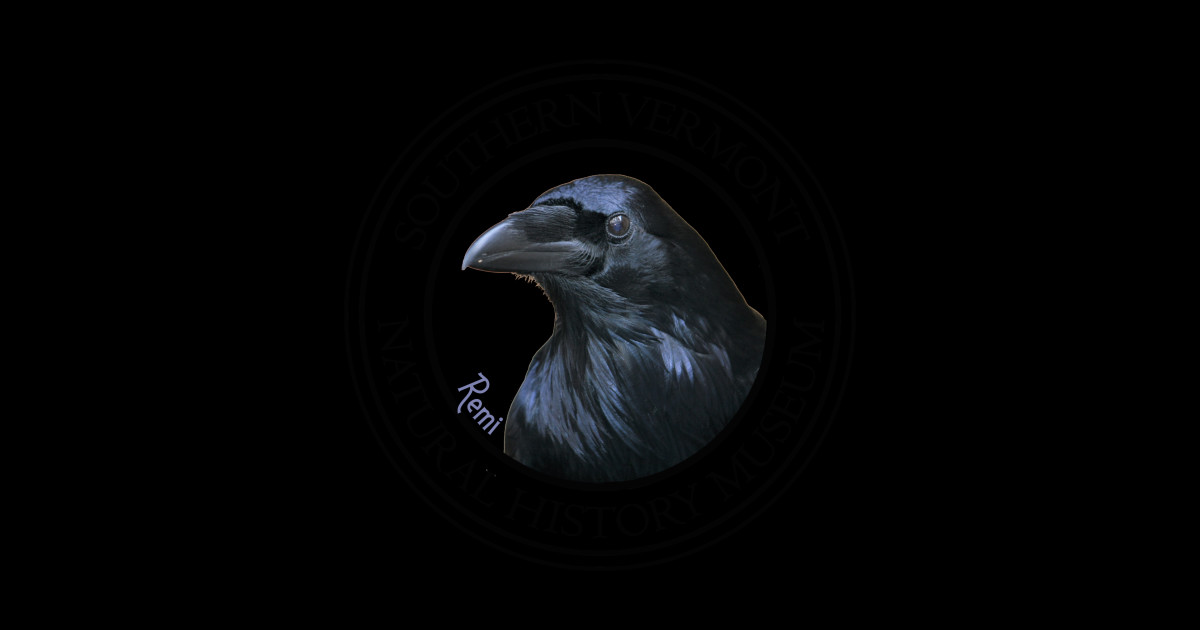 Remi the Raven - Raven - Sticker | TeePublic