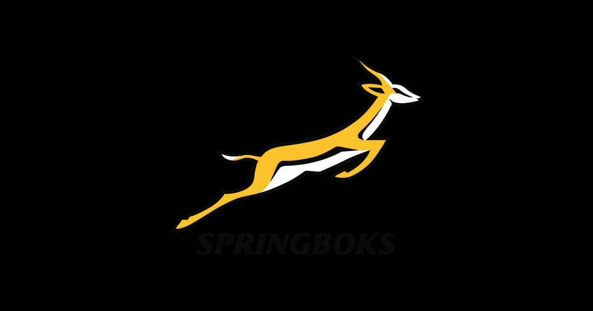 Springboks from South Africa - Springboks - Posters and Art Prints ...