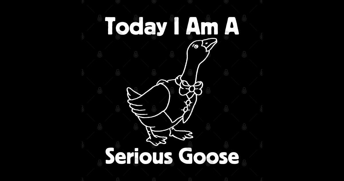 Today I Am A Serious Goose - Today I Am A Serious Goose - T-Shirt ...