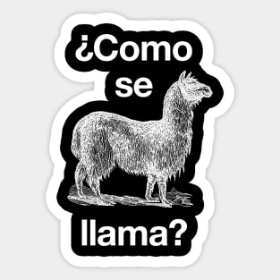 como se llama
