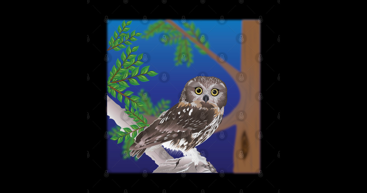 Northern Saw-whet Owl - Owl - Sticker | TeePublic