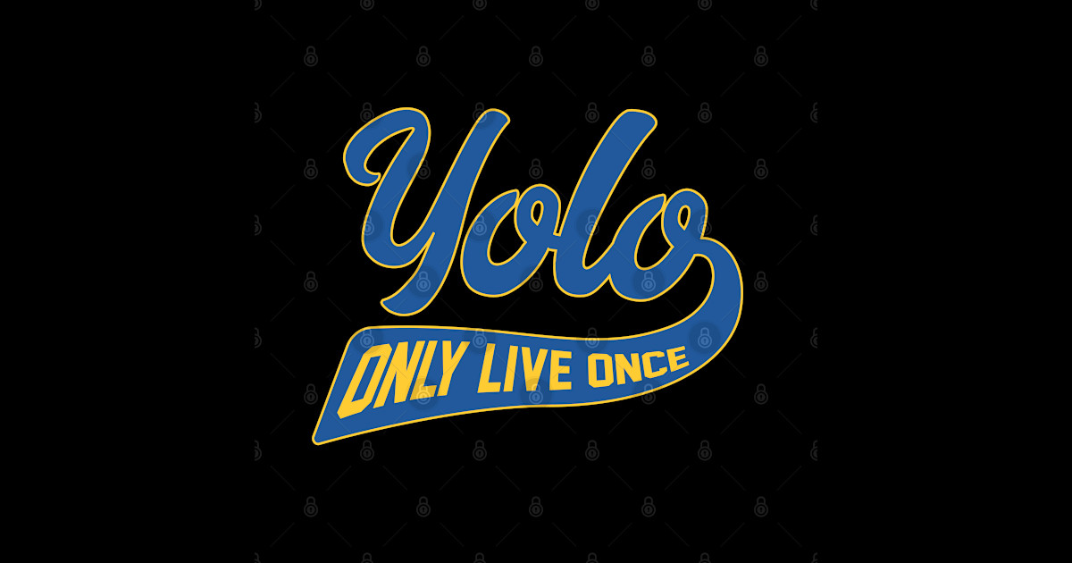 YOLO - Funny Quote Funny Sologan - Sticker | TeePublic
