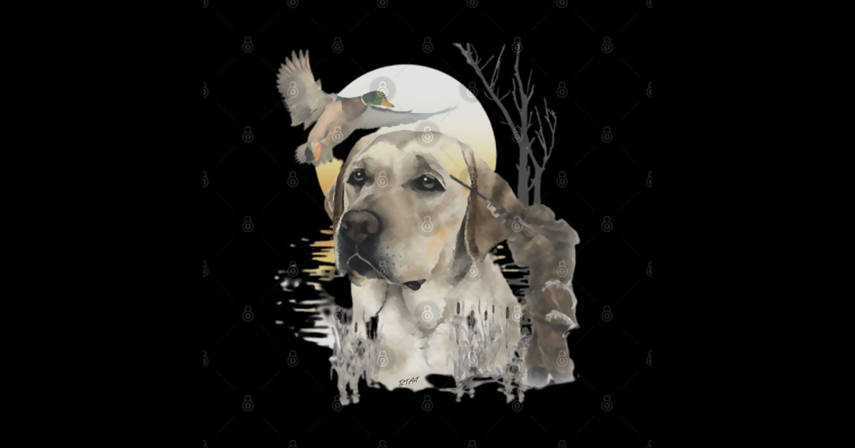 Labrador Retriever , Duck hunting - Labrador Retriever - Posters and ...