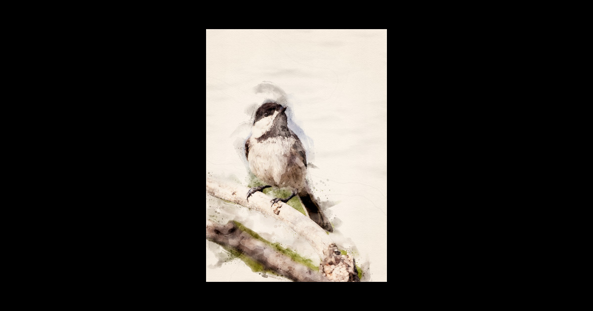 Tree Swallow in Watercolor - Tree Swallow - Sticker | TeePublic