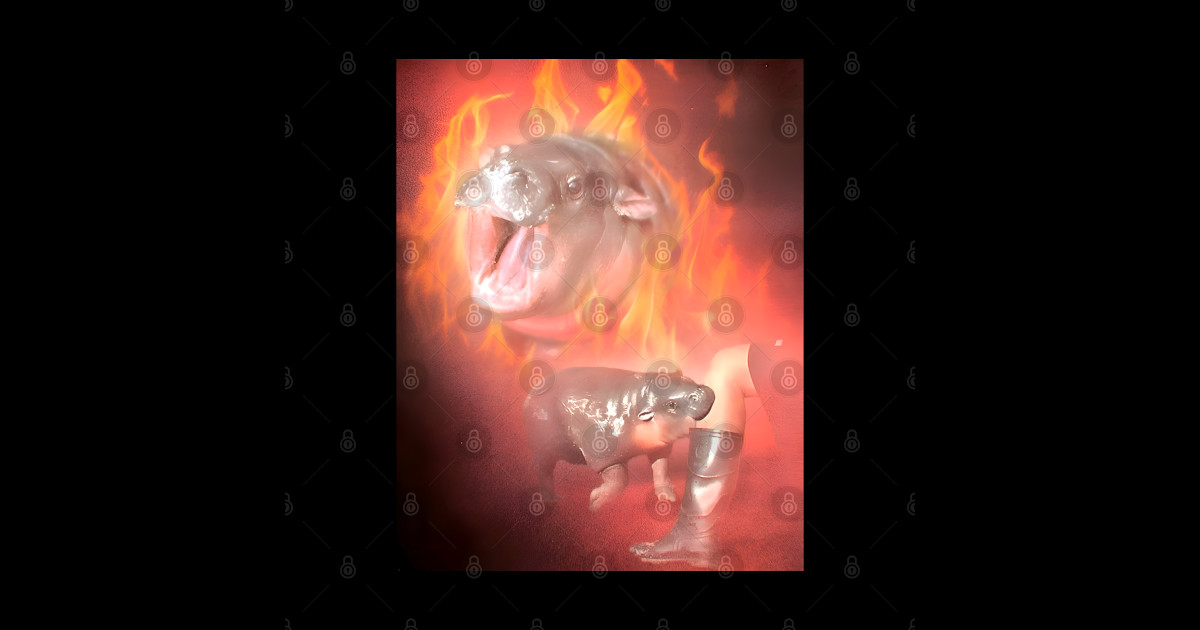 Moo Deng Bouncy Pig in Thai Fire Picture The Cute Baby Hippo - Moo Deng ...
