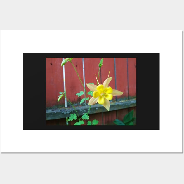 Columbine and Fence - Columbine - Posters and Art Prints | TeePublic